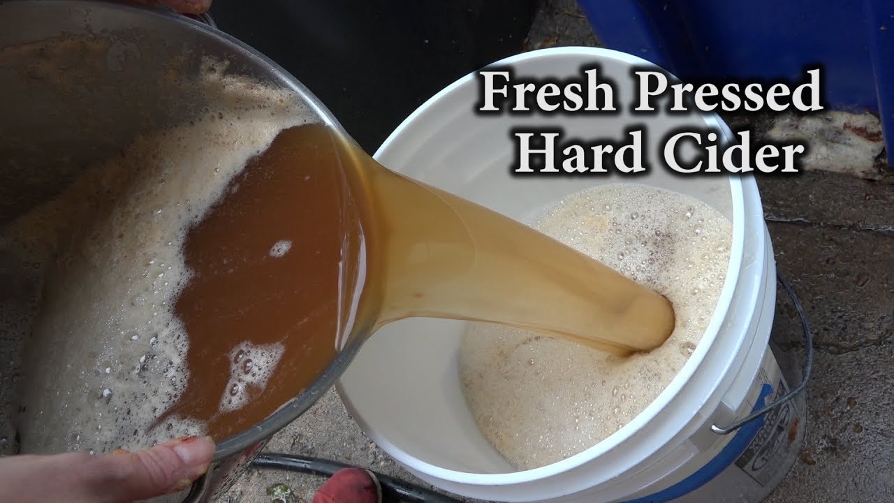 Fresh Pressed Hard Cider - Brew Insight