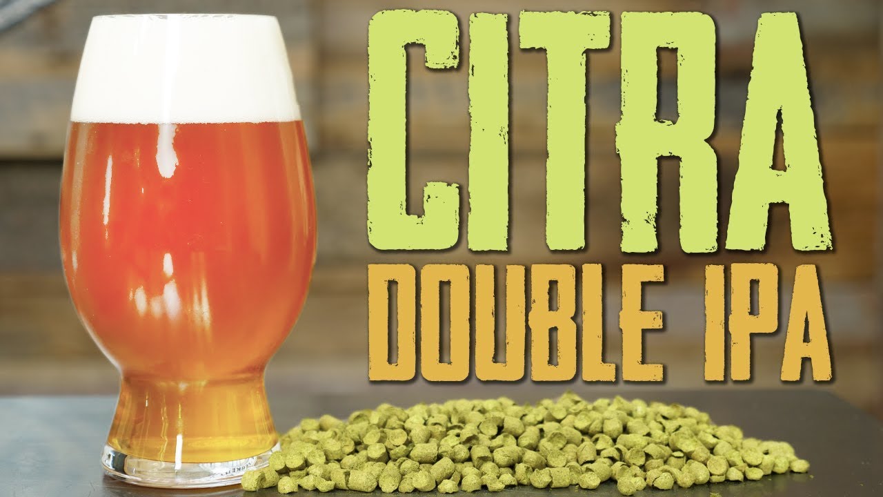 How to Brew Beer - Citra Double IPA Homebrew - Brew Insight